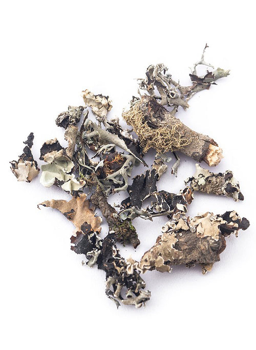 Pathar Phool (50 gm) - Singal's - Indian Grocery Store